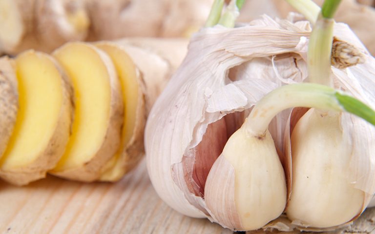 How to Grow Garlic: A Simple Guide for Beginners