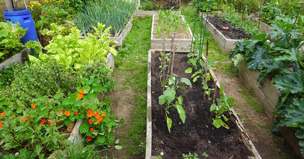 Watch Gardening - The Best Gardening Videos Online